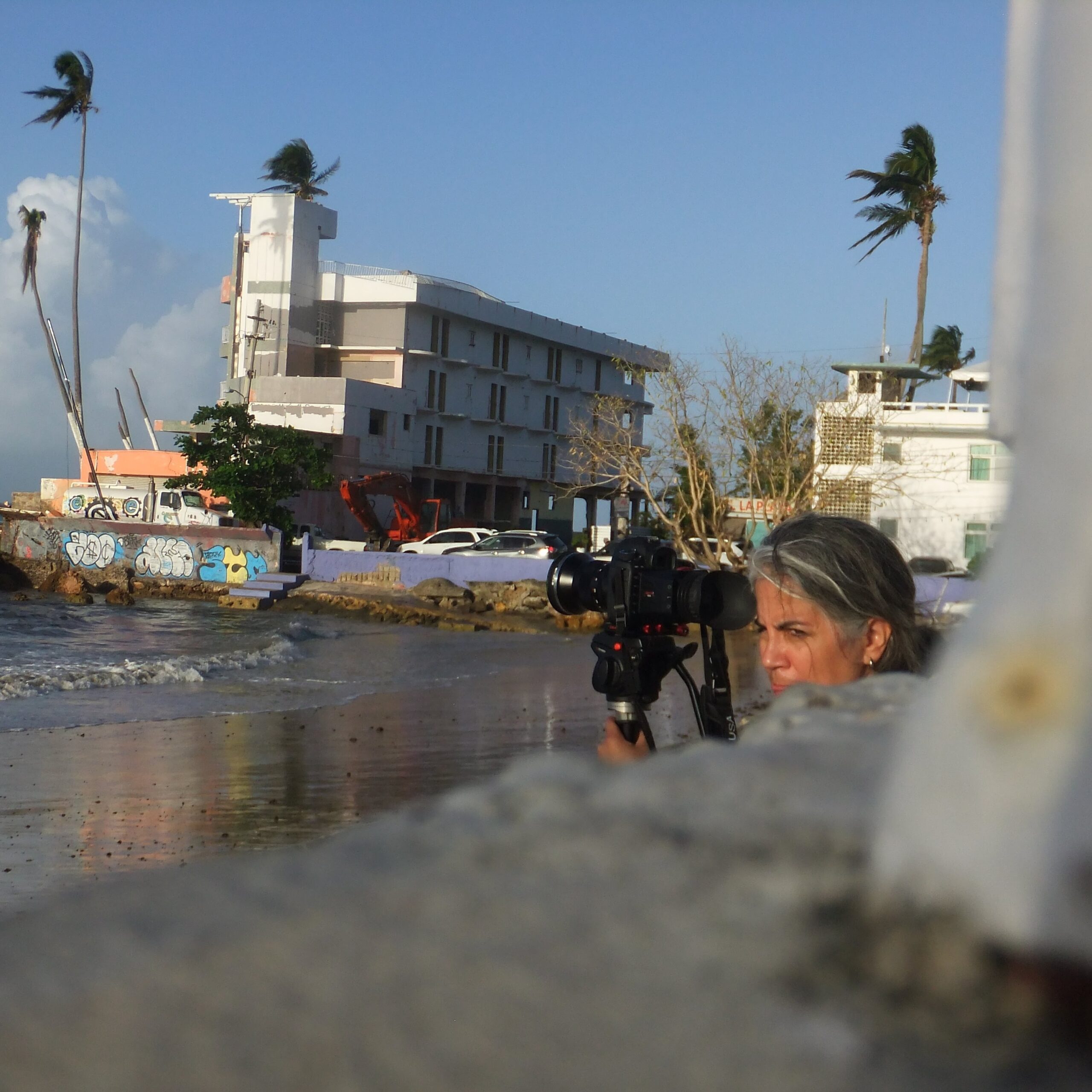 Darice Polo | CentroPR