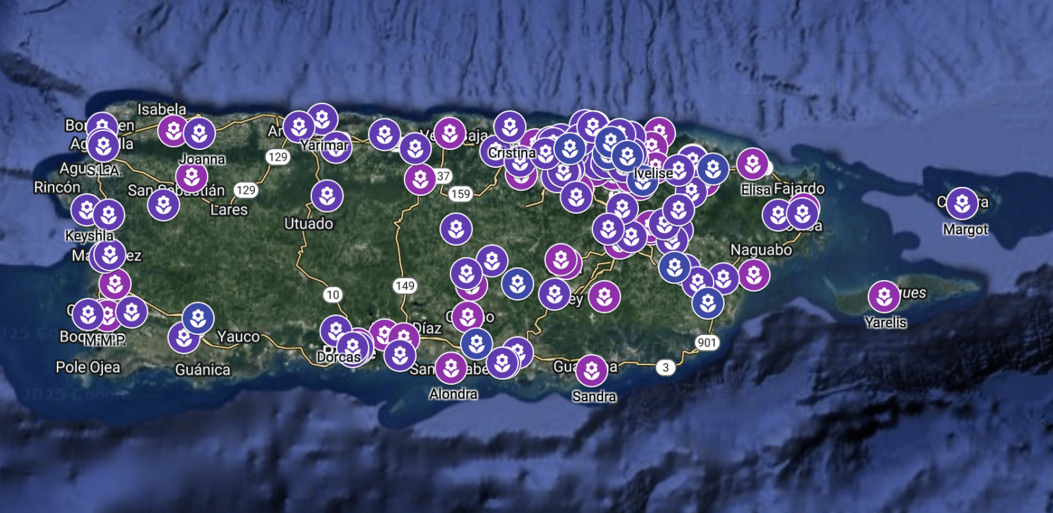 Hoy Te Recuerdo: Mapping Femicides in Puerto Rico | CentroPR